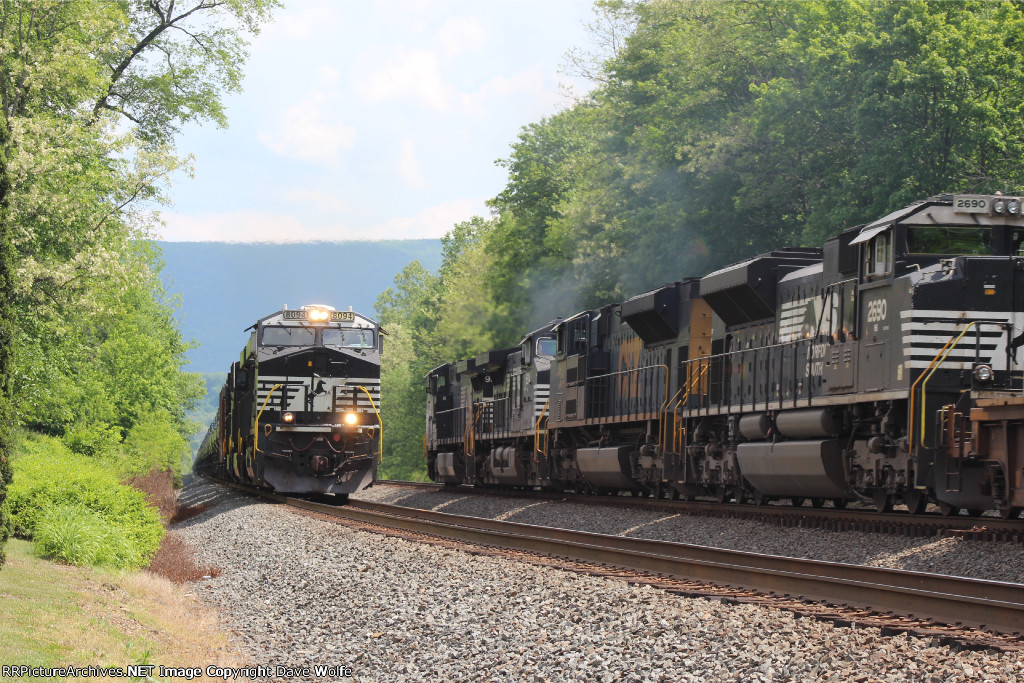 NS 8094 & Lots of Others